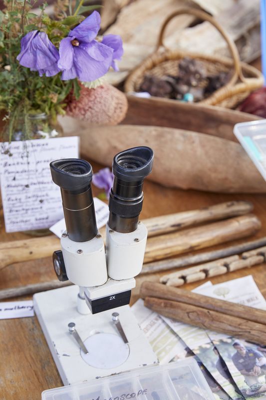 John Wardle Architects’ campaign to conserve endangered flora ...