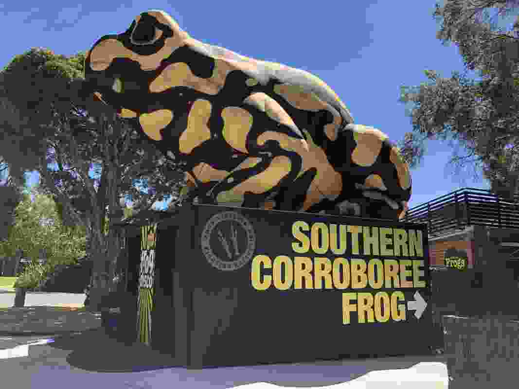 Corroboree Frog by Plico Design Studio | ArchitectureAu
