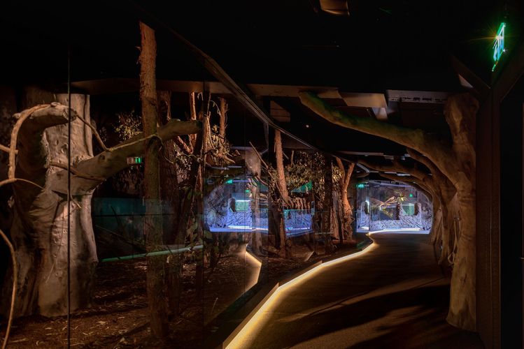 Taronga Nura Diya Experience by lahznimmo architects | ArchitectureAu