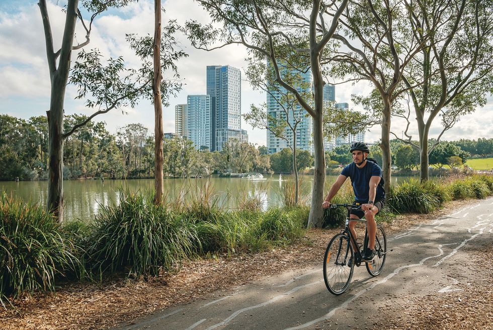 Designing for coolth | Landscape Australia