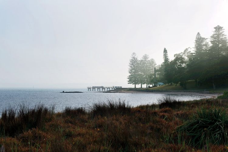 Burrawang walk | ArchitectureAu