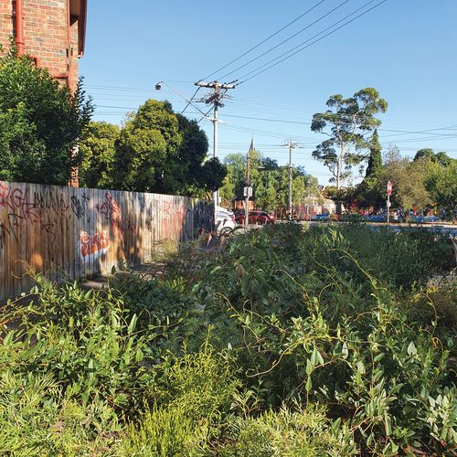 Fostering a meadow mentality | Landscape Australia