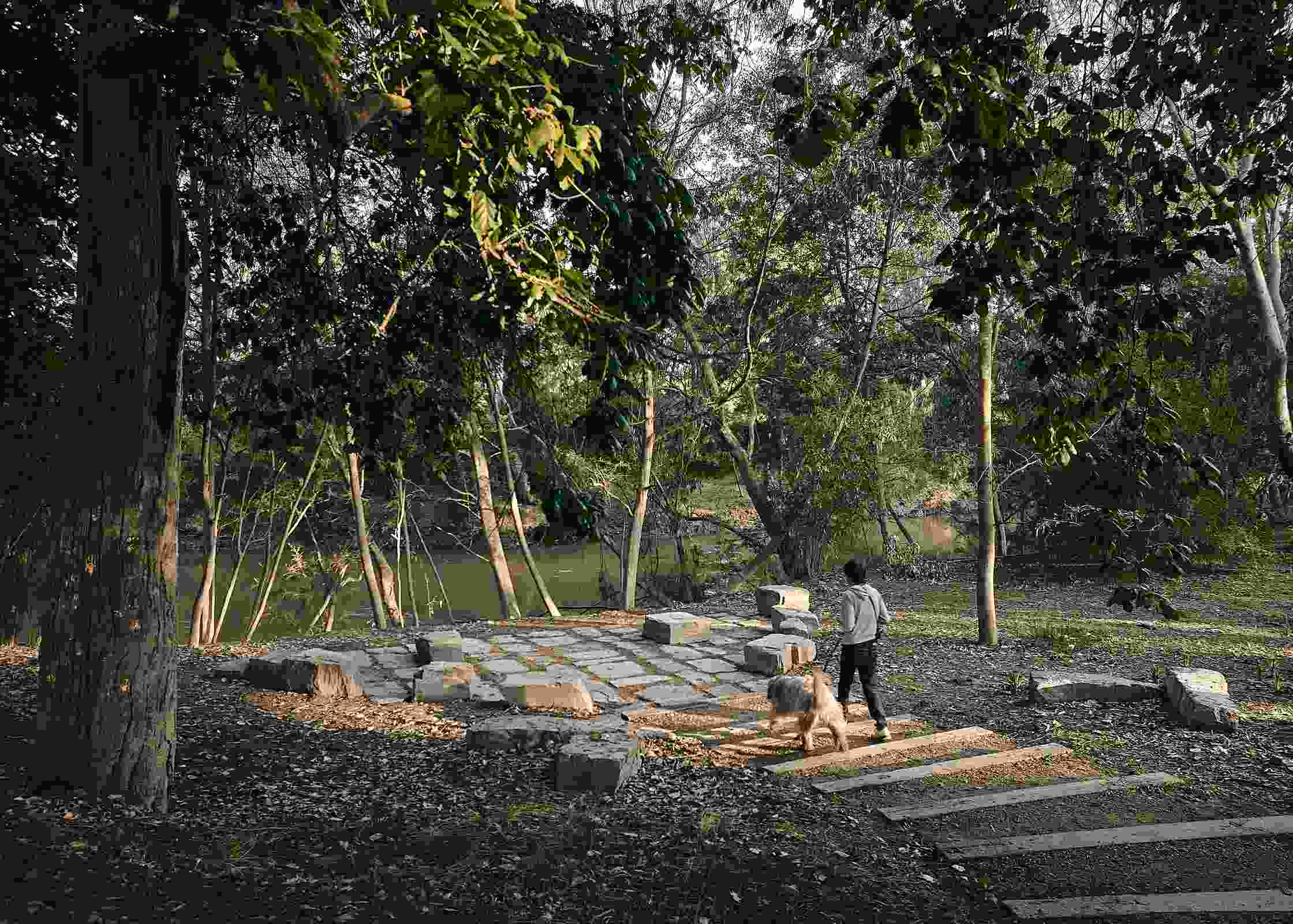 Winners revealed: 2025 National Landscape Architecture Awards ...