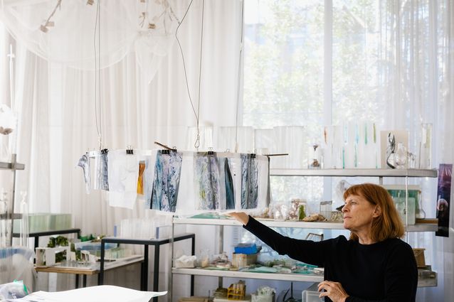 Janet Laurence exhibition reflects on the interconnectedness of living ...