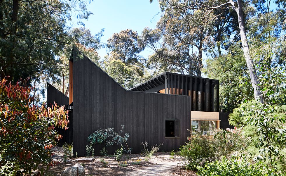 Simplicity embraced with open arms: Bellbird House | ArchitectureAU
