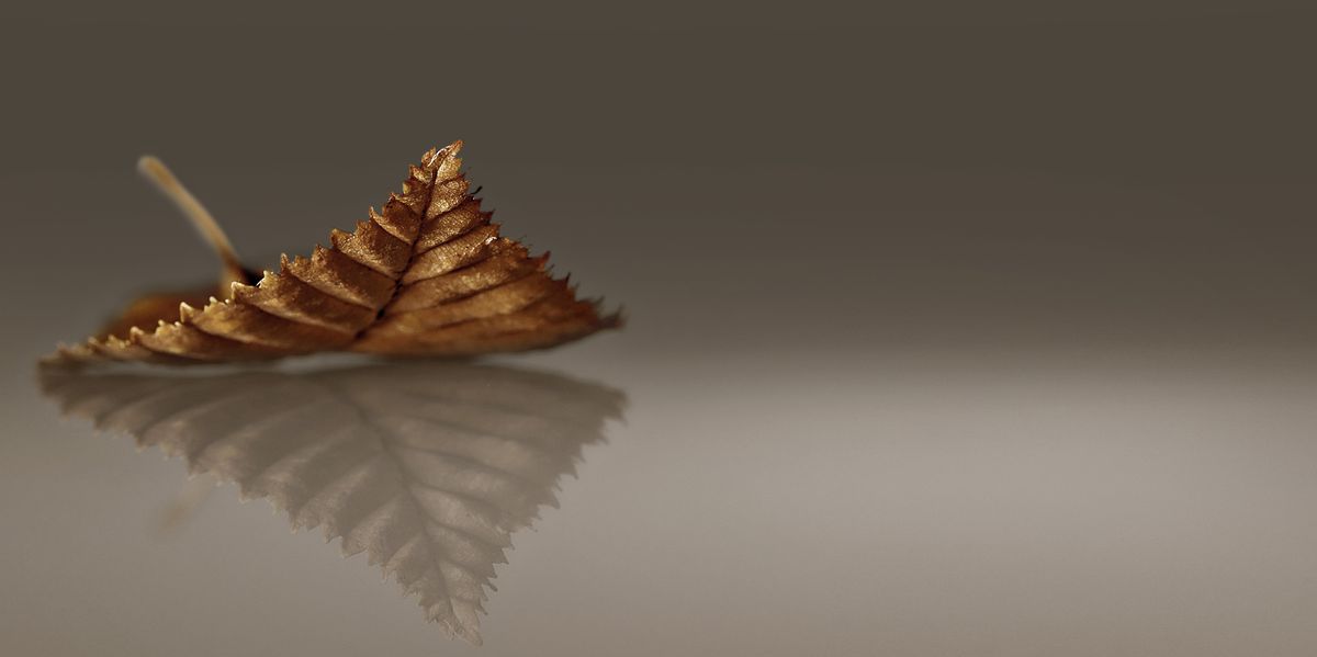 Dekton XGloss from Cosentino | ArchitectureAu