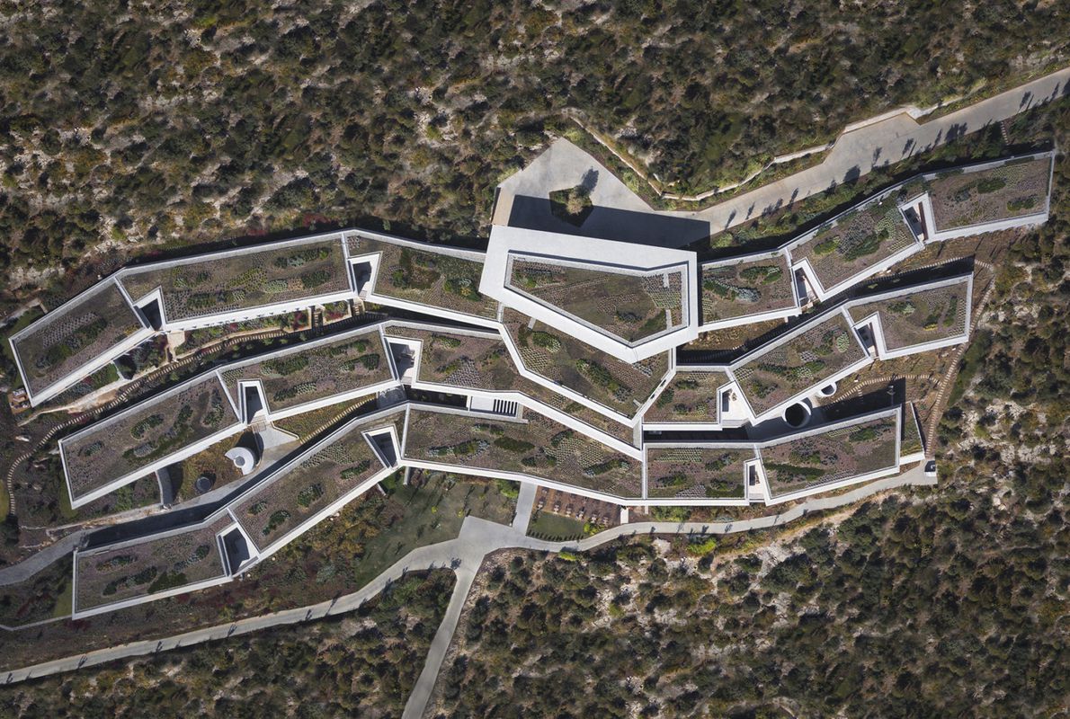 Exclusive dinners with Moshe Safdie and Borja Ferrater | ArchitectureAu