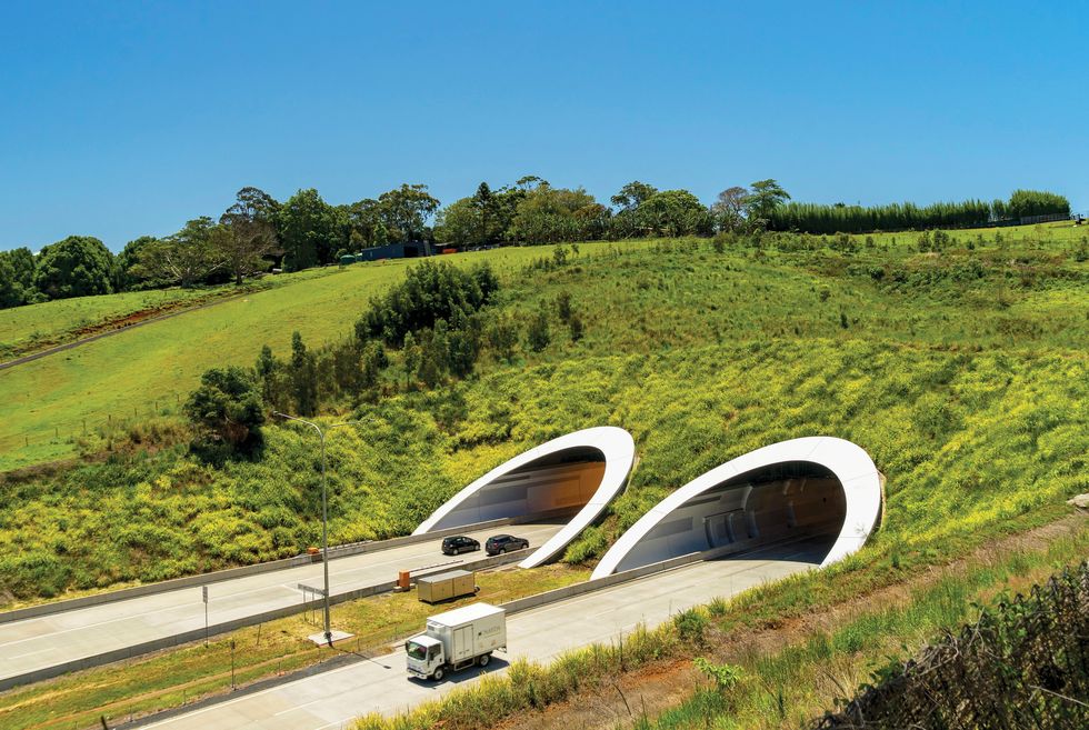 2021 National Landscape Architecture Awards: Award of Excellence for ...