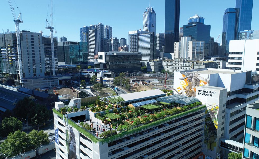 Rewilding: Stepping back to take action | ArchitectureAU