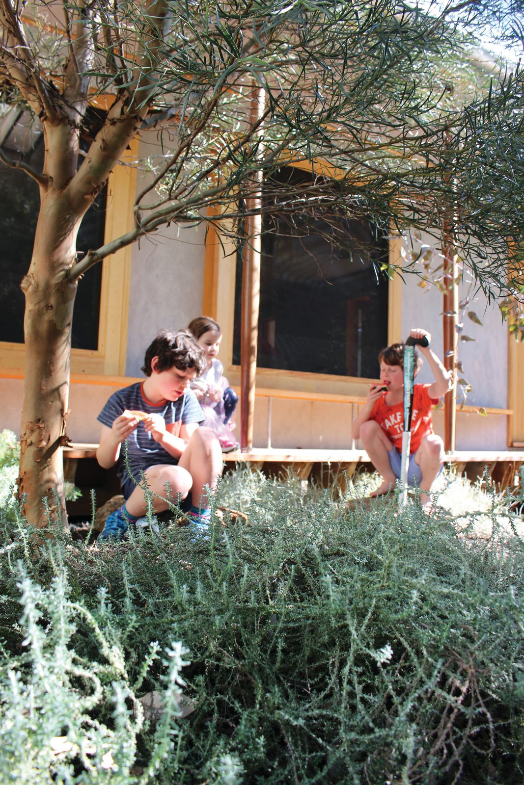 Social space: Bulwer Avenue Garden | Landscape Australia