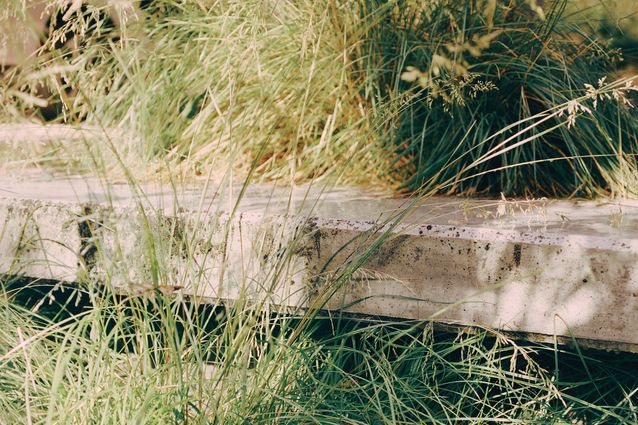 Ground-up transformation: Decolonizing the garden | Landscape Australia