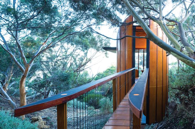 Towering ideas: Tree Top Studio | ArchitectureAu