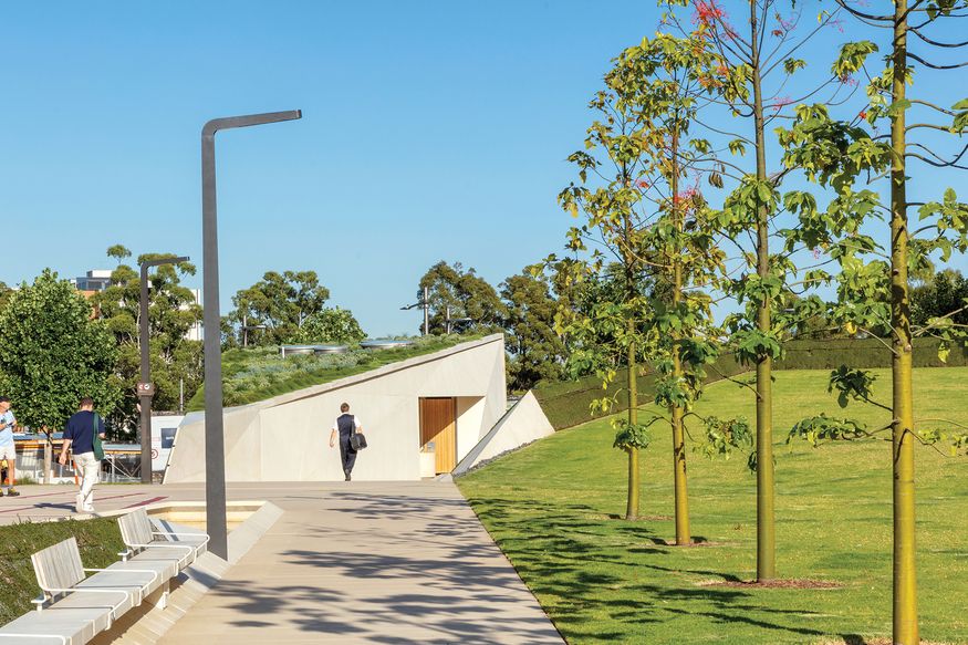 An ecological engine: The Drying Green | Landscape Australia