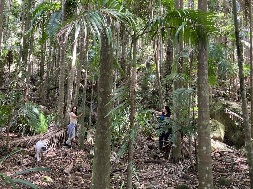 Listen, observe, learn: Ethics and protocols on Country | ArchitectureAu