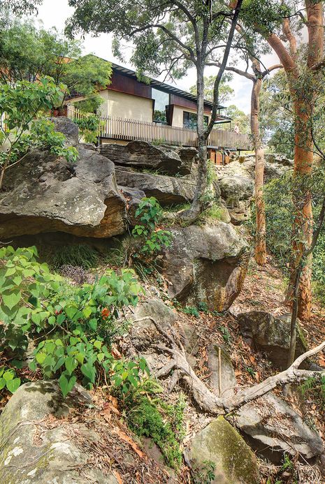 One to Watch: Taro Studio | ArchitectureAu