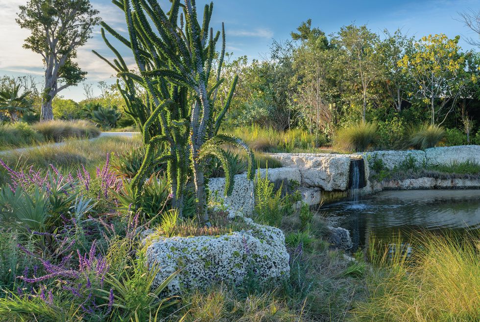 Beyond Wild: Gardens and Landscapes by Raymond Jungles | Landscape ...