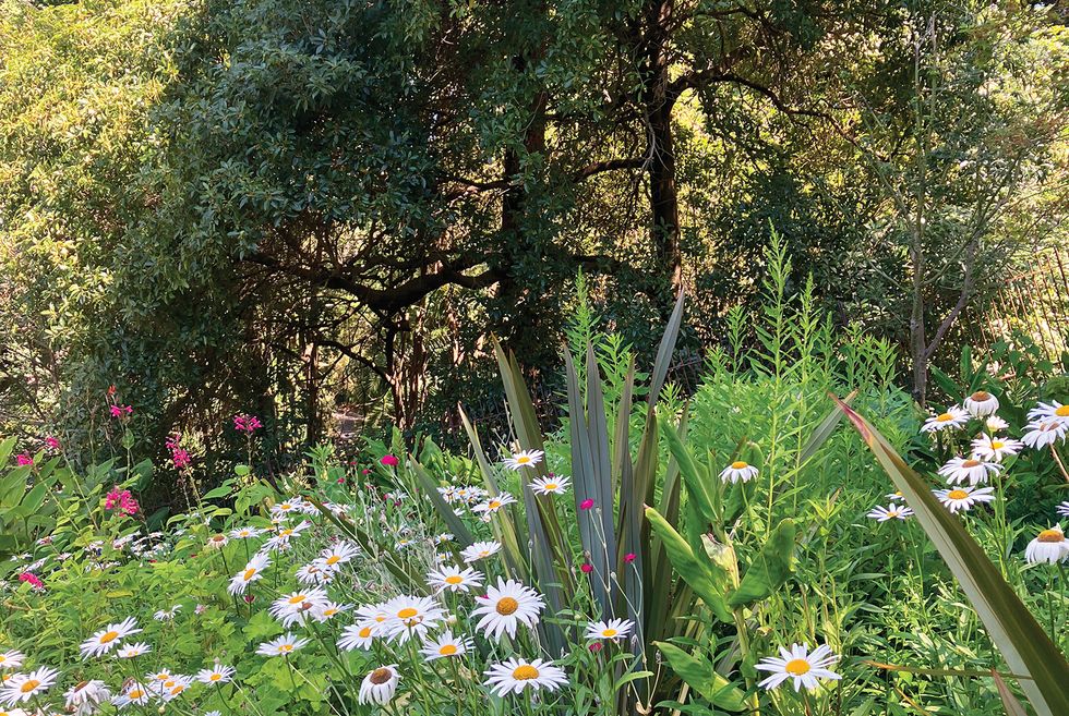 Waste not, want not: Applying "RRR" principles in planting design ...