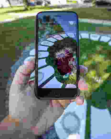 Sensing future environments: Sean Lally | Landscape Australia