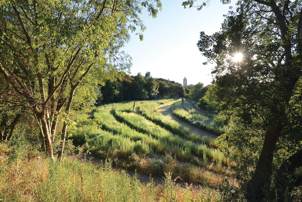 Lo-fi landscapes: Estudi Martí Franch | Landscape Australia