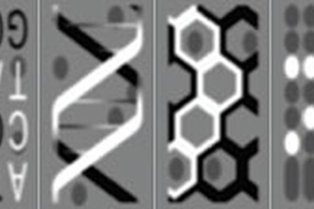 Lyons | ArchitectureAu