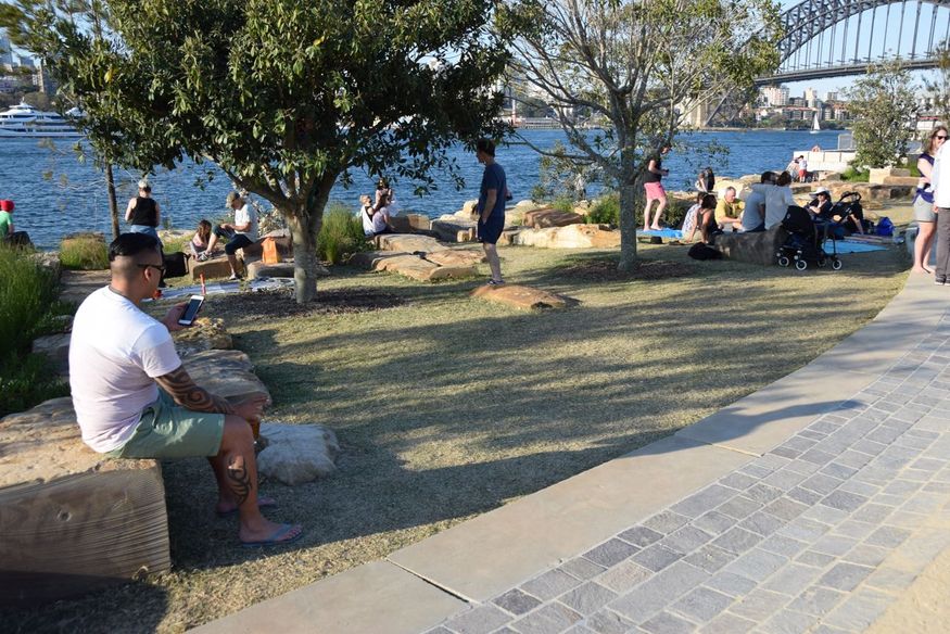 A naturalized landscape: Barangaroo Reserve | ArchitectureAu