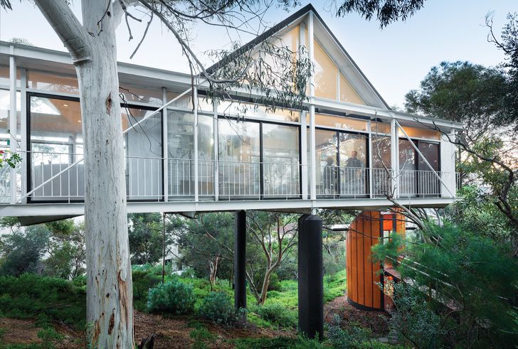 Towering ideas: Tree Top Studio | ArchitectureAu