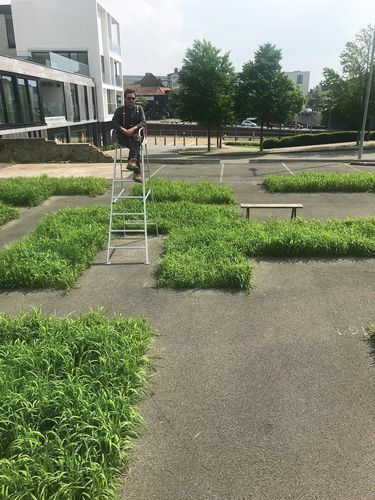 Lo-fi landscapes: Wagon Landscaping | Landscape Australia