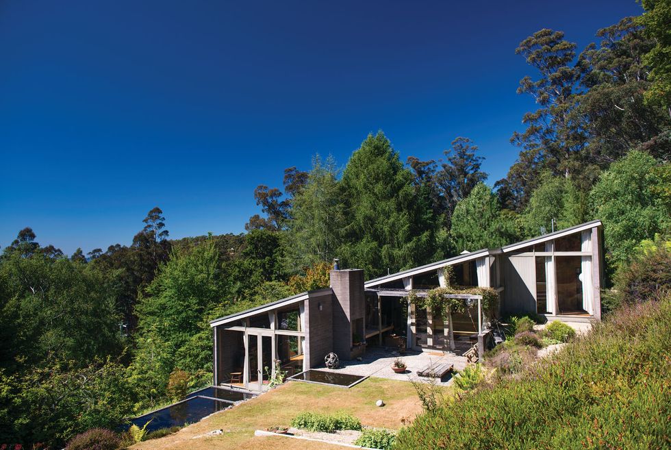 Fern Tree House (1969) revisited | ArchitectureAU