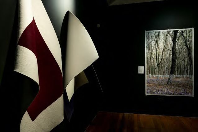 Northern Beaches Environmental Art and Design Prize exhibition ...