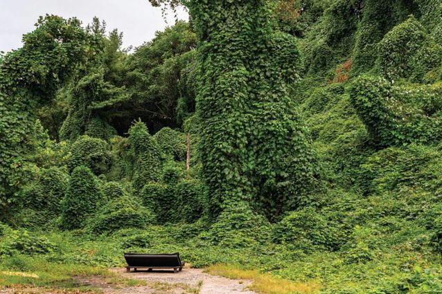 Wild: Design for a World Beyond Control | ArchitectureAu