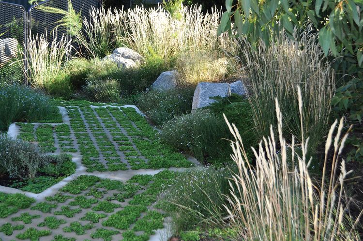 Living landscapes: Five residential gardens | ArchitectureAu