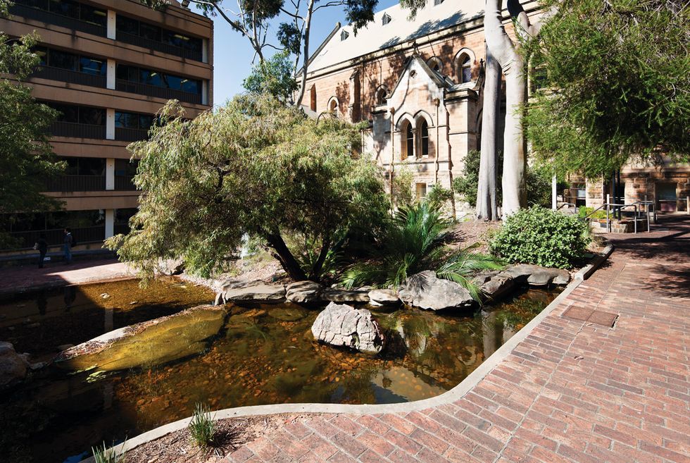 Wills Courtyard: University of Adelaide | ArchitectureAu