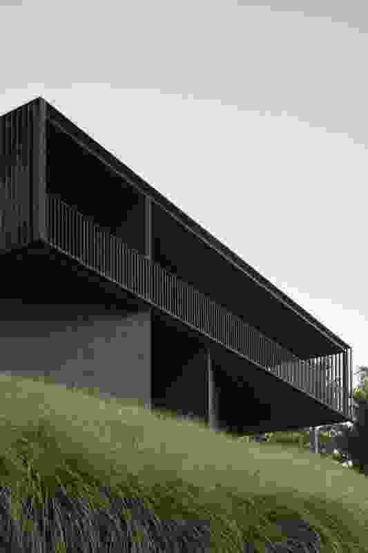 Federal House by Edition Office | ArchitectureAu