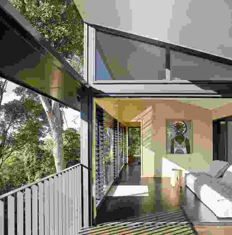 Seven arboreal abodes that prioritize established trees | ArchitectureAU