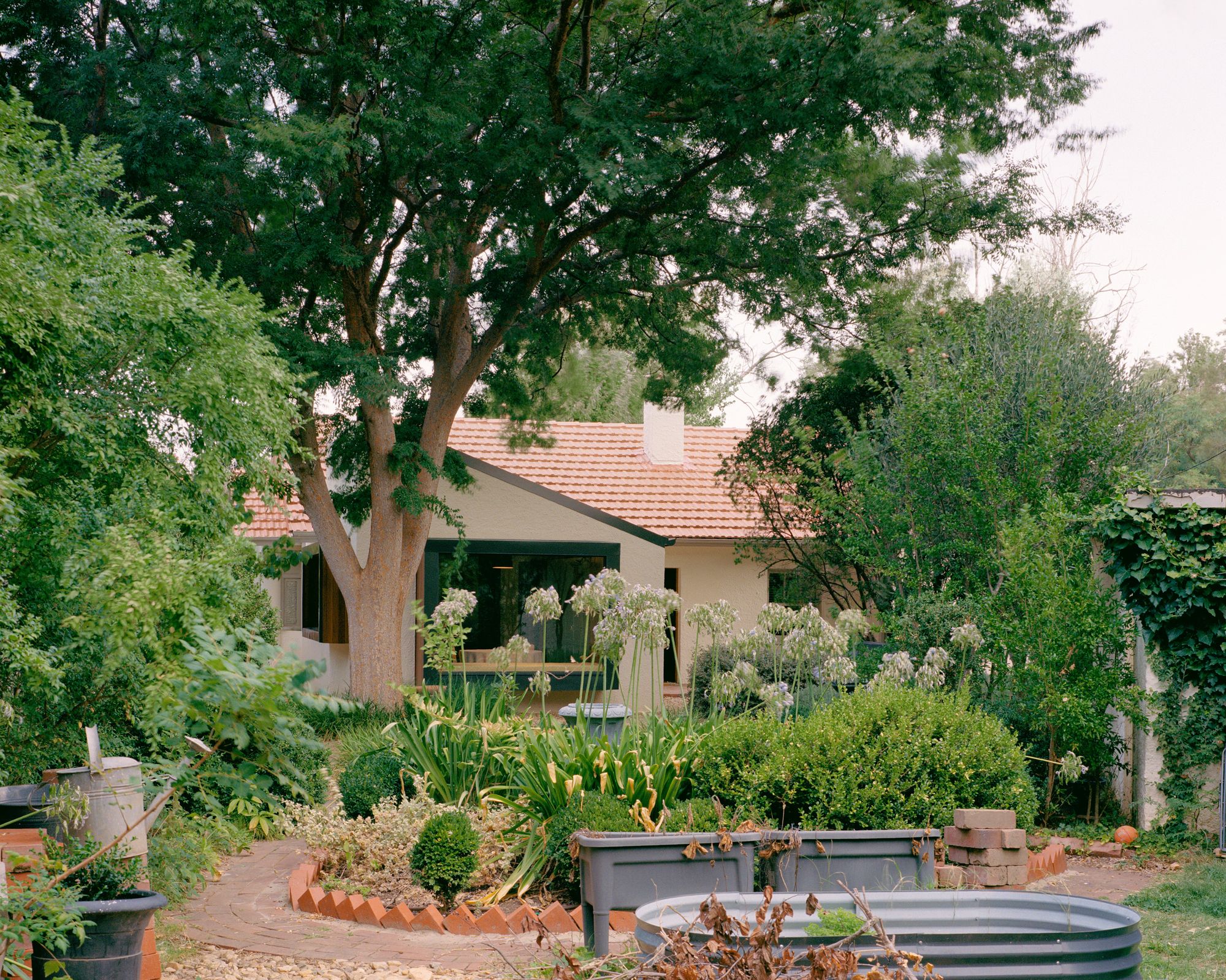 Barton Kitchen Garden Room by Josh Mulford Architects | ArchitectureAu