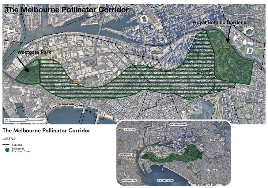 Collecting the community together: Melbourne Pollinator Corridor ...