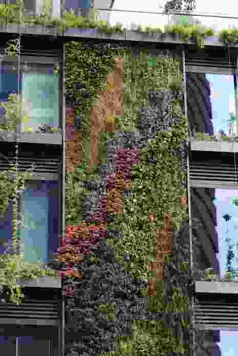 Fine-tuning the planting design cycle | Landscape Australia