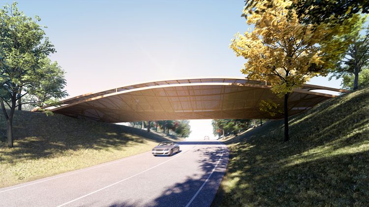 Australian wins Latvian footbridge design ideas competition ...