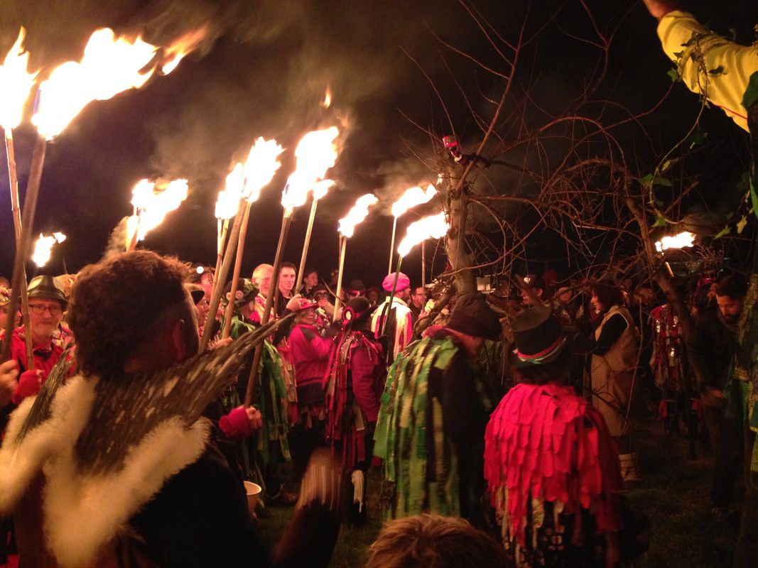 Wassailing, national parks and peopling cultural landscapes | Landscape ...