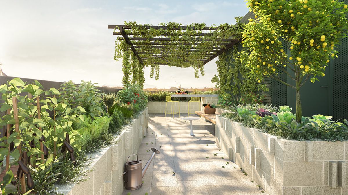 Six Degrees proposes sustainable apartments for Melbourne’s Brunswick ...