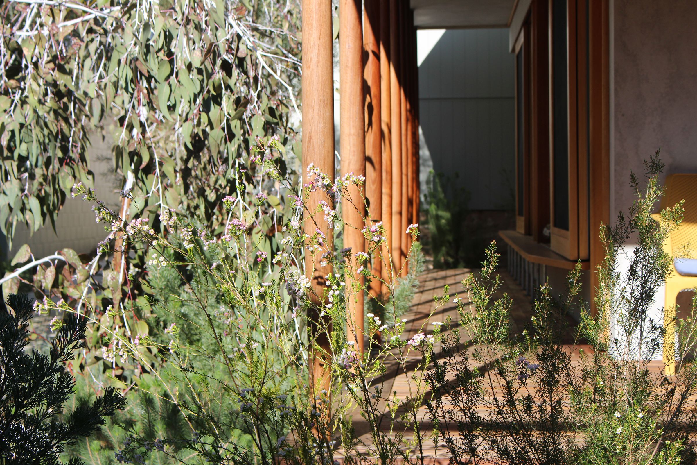 Winners of 2024 WA Landscape Architecture Awards announced | Landscape ...