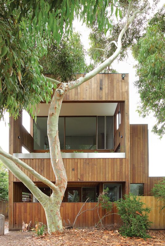 Orange Grove House | ArchitectureAu