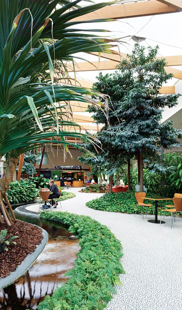 Brisbane Ecosciences Precinct and the University of Queensland’s ...