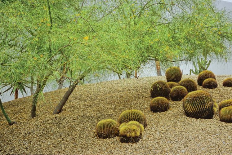 Marc Treib: Attending place | Landscape Australia