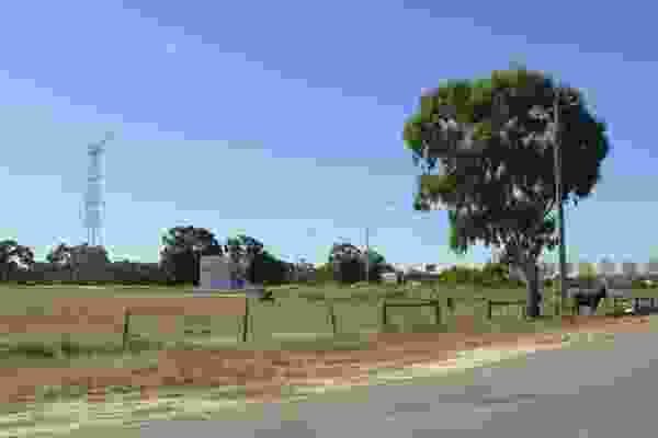 Designing with ecological succession | Landscape Australia