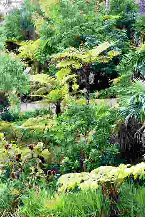 Laying the groundwork for soil | Landscape Australia