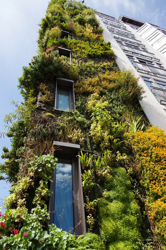 Green walls may pollute offices in heat | ArchitectureAu