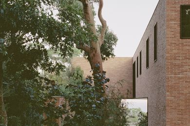 Studio Bright | ArchitectureAu