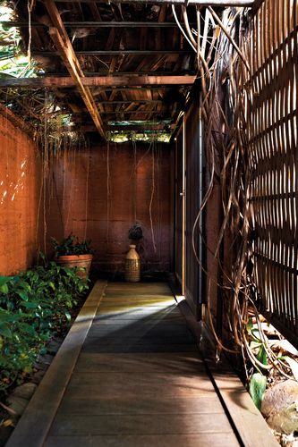 Revisited: Palm Garden House | ArchitectureAu