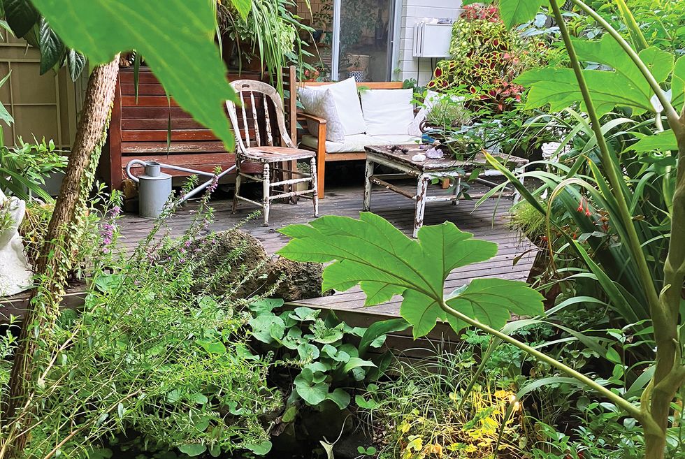 Suburban refuge: Designing for biodiversity in our cities | Landscape ...